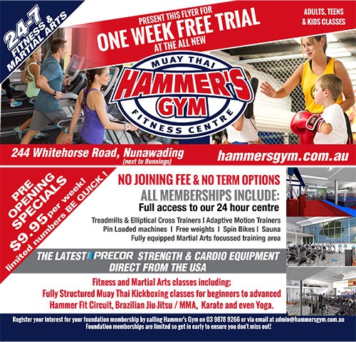 Hammer's Gym - 24/7 Gym Fitness, Muay Thai Kickboxing and Martial Arts